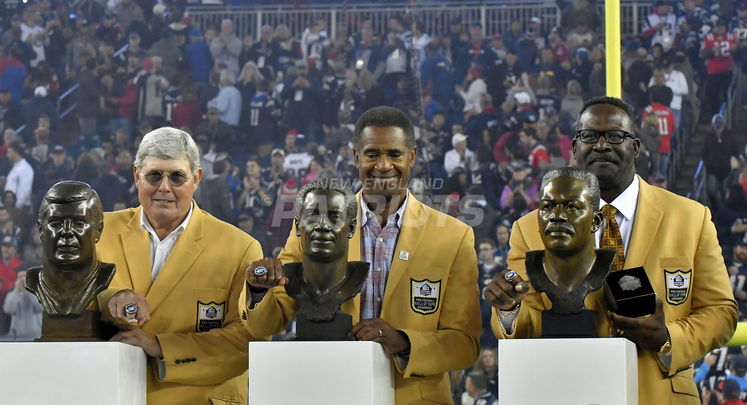 Pro Football Hall of Fame Halftime Ceremony | The Patriots Hall of Fame